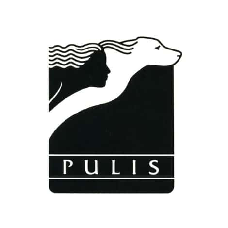 Pulis Dog Training Logo - Grey Visual Web Design